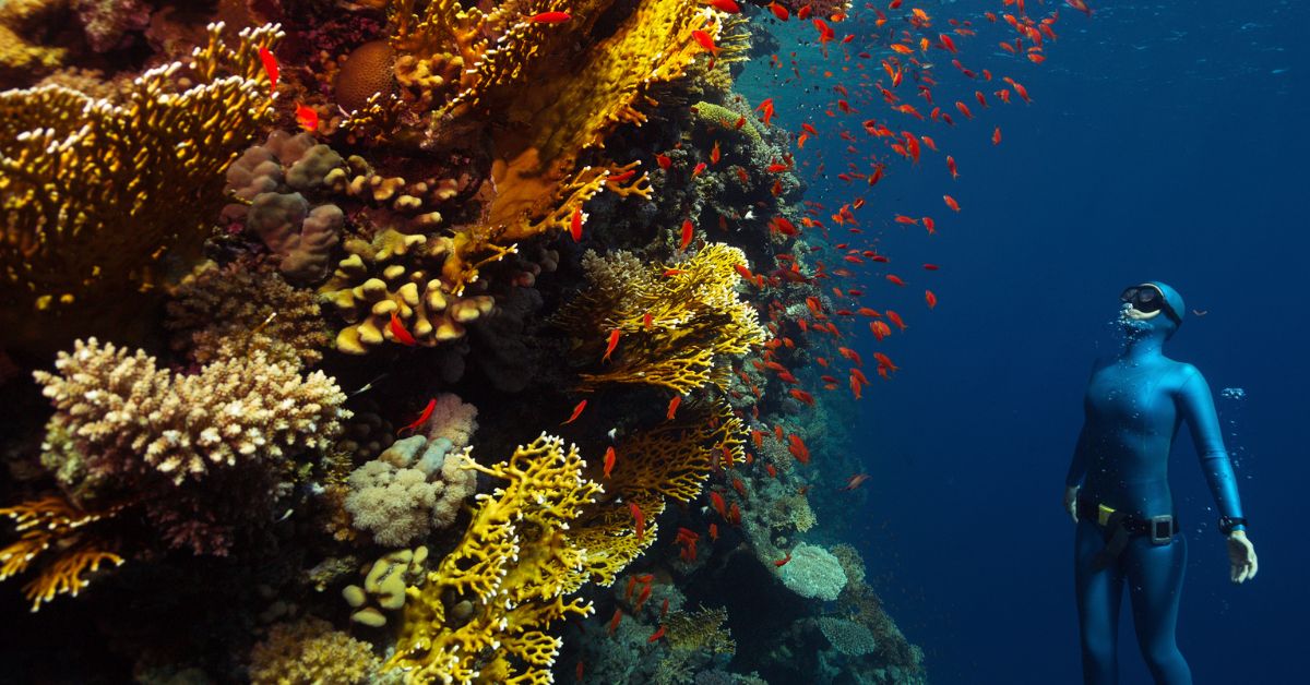 The Gili Islands 101: Ultimate Gili Islands Guide 2023