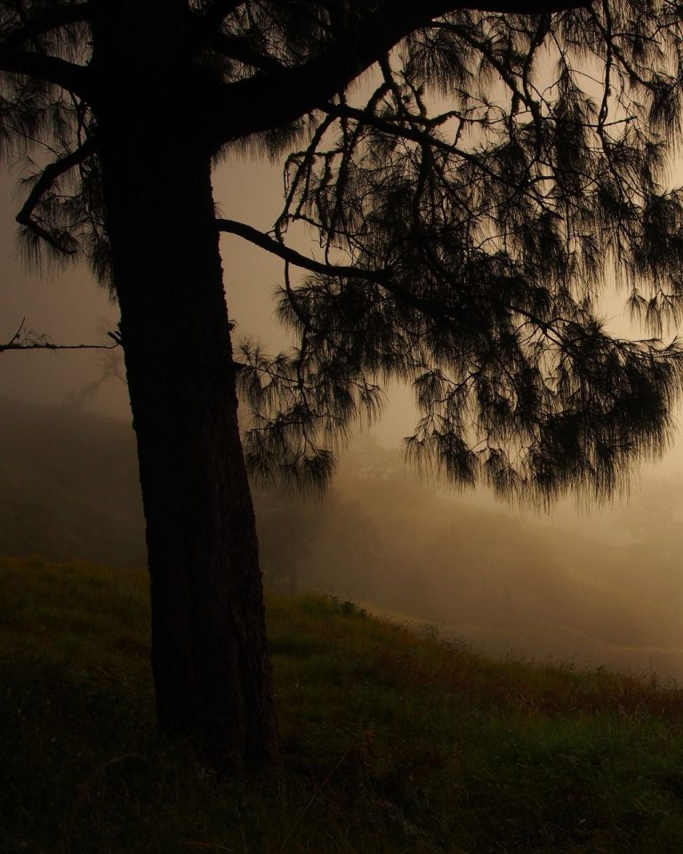 Mount Rinjani National Park: Incredible Crater Rim Trek 2023